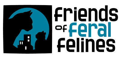 Friends of Feral Felines – Committed to helping feral cats in southern ...